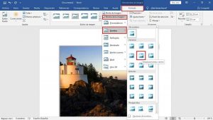 Cómo Insertar y Editar Imágenes Dentro de un Documento en Word (Ejemplo ...